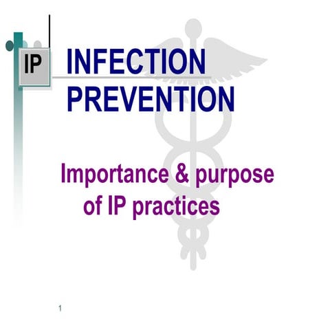 Ip presentation final 23.01.08