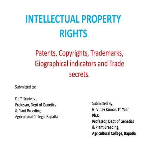 Intellectual Property Rights | PPTX
