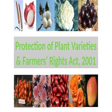 Protection of Plant Varieties and Farmers' Rights Authority IPR | PPT