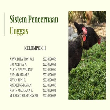 IPT UNGGAS iiiiiiiiiiiiiiiiii Kel 2.pptx