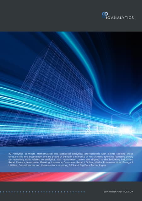 Analytics Roles: Part 1 | PDF