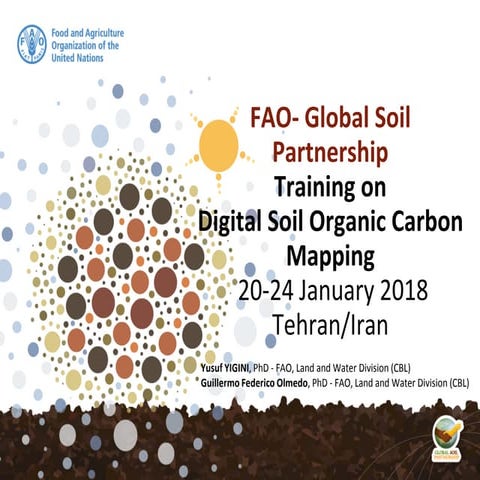 Introduction to the GSP Pillar 4 and the Global Soil Information System ...