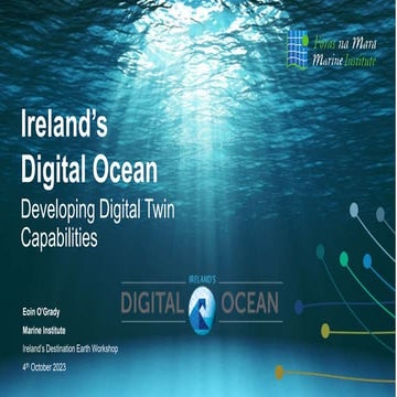 Irelands Digital Ocean Programme - Developing Digital Twin Capabilities ...