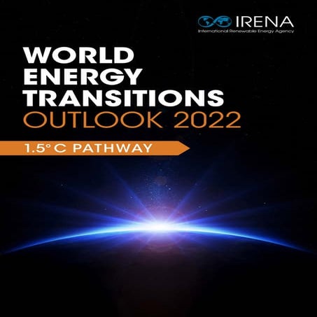 IRENA Renewable Energy and Jobs Report 2024 | PDF