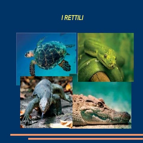 I rettili | PPT