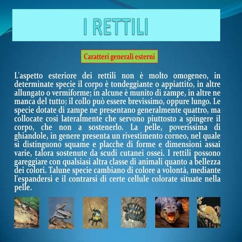 I rettili 2 | PPSX