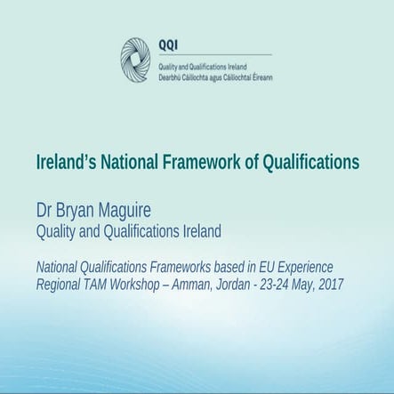 The Irish experience of developing and implementing a national ...