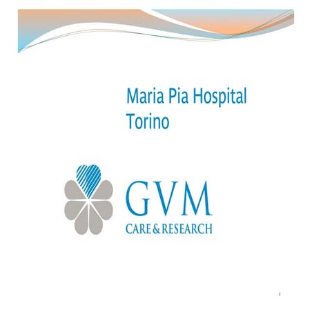 Irmi gvm mph | PDF