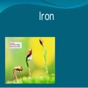 Iron | PPTX | Blood Disorders | Diseases and Conditions
