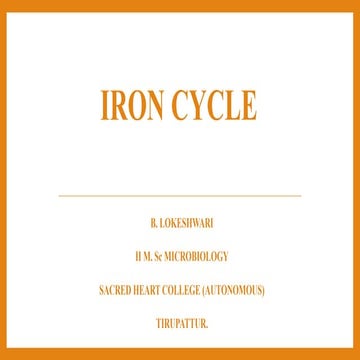 Bio geo chemical cycle...(Iron cycle).pptx