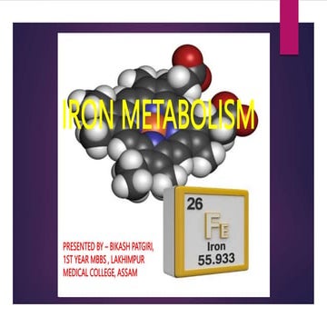 IRON_METABOLISM[1].pptx