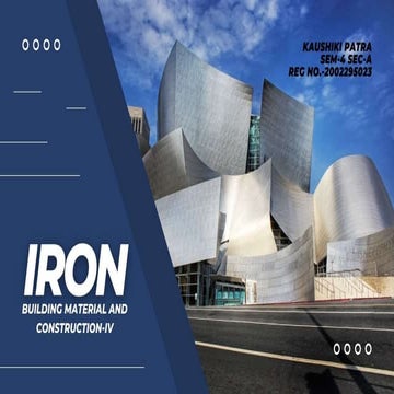 Iron Presentation.pptx