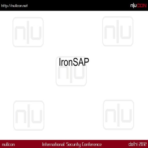IronSAP | PPT