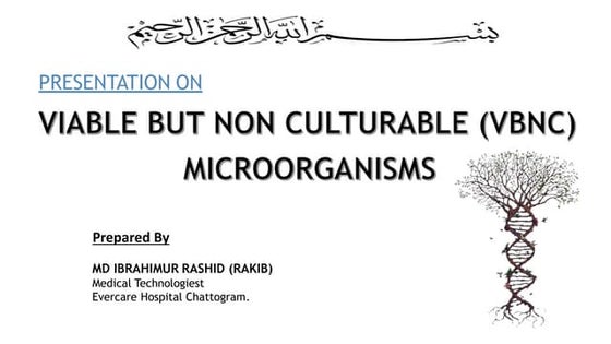 VIABLE BUT NON-CULTURABLE BACTERIA- VBNC | PPTX | Biological Sciences | Science