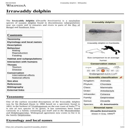 Irrawaddy dolphin : Notes | PDF