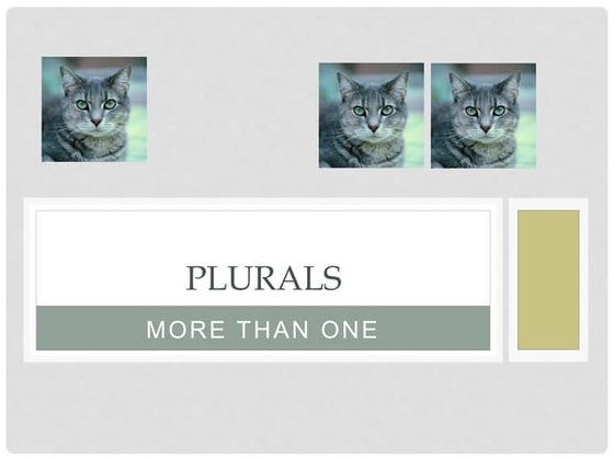 UNIT 0_PLURALS | PPTX