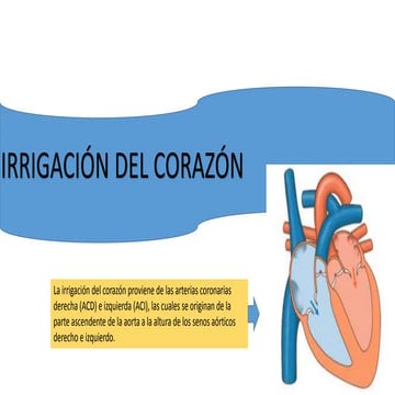 ANATOMIA DE ESPACIO INTERCOSTAL Y MEDICIÓN DE PULSO ARTERIAL | PPTX