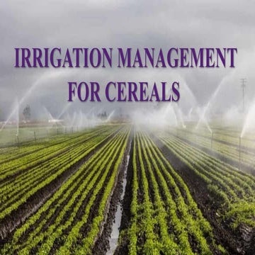 IRRIGATION MANAGEMENT FOR CEREALS CROPS LIKE RICE WHEAT MAIZE OATS ...