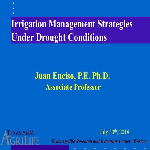 Irrigation management strategies under drought conditions | PDF