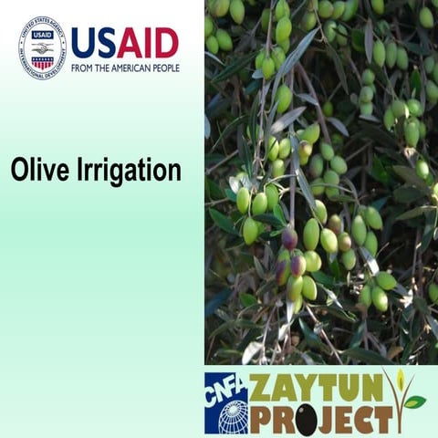 Irrigation Presentation.ppt