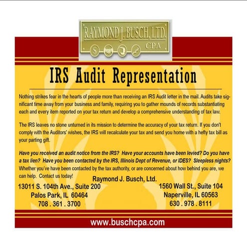 Irs audit representation | PDF