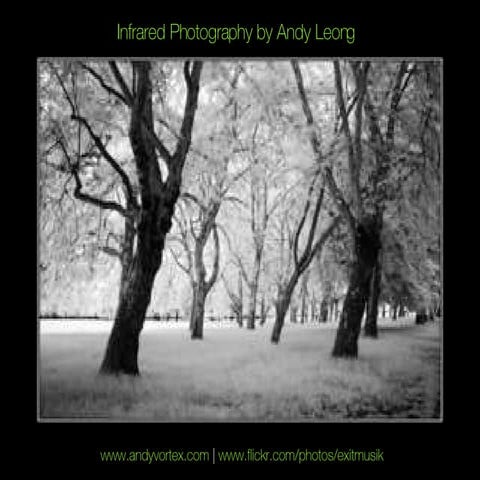 Infrared Photography | PPT