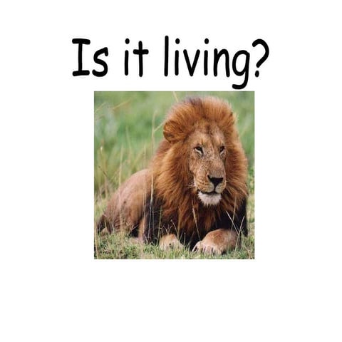 Is it-living | PPT
