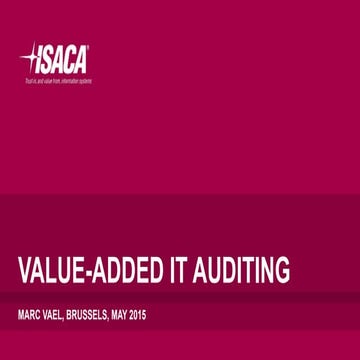 Value-added it auditing | PDF