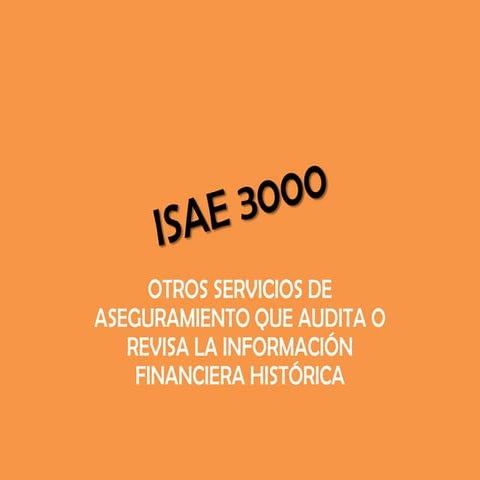 Isae 3000 | PDF