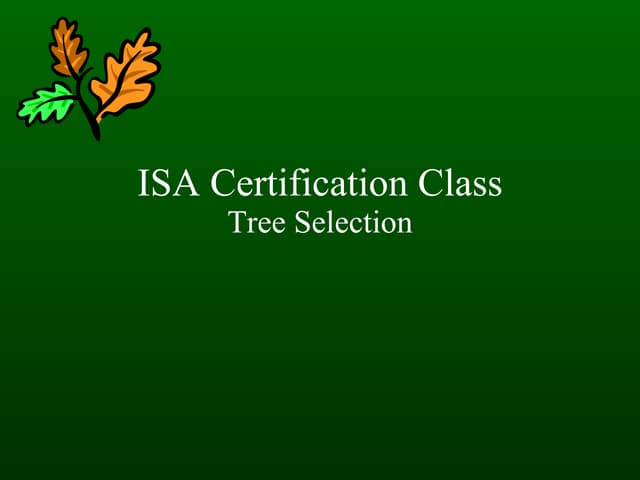 Isa tree selection 1 | PPT Isa tree selection 1 | PPT