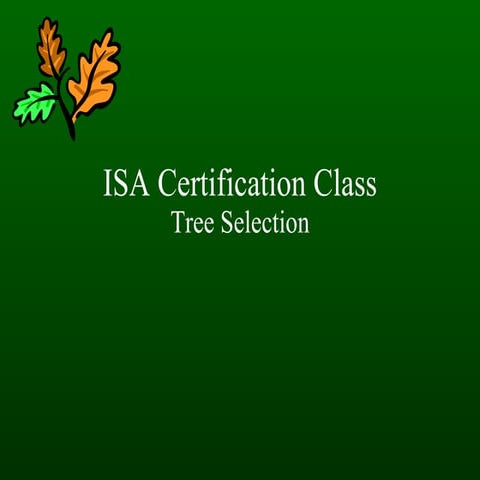 Isa tree selection | PPT