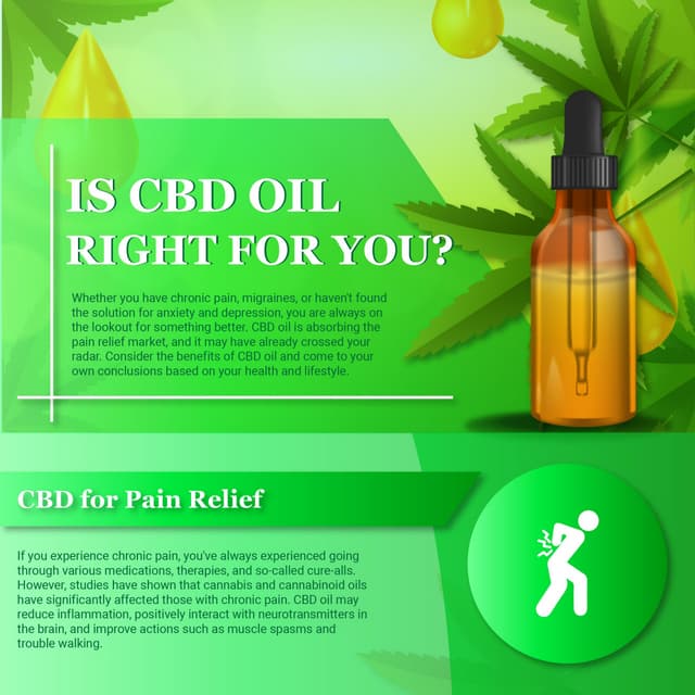 Is CBD Oil Right For You? | PDF | Business | Business and Finance