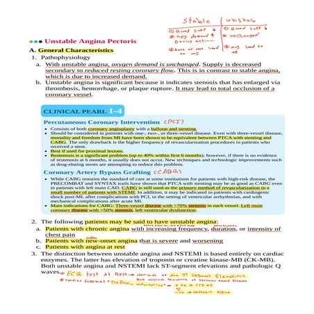 Ischemic Heart Disease - Unstable Angina Pectoris.pdf