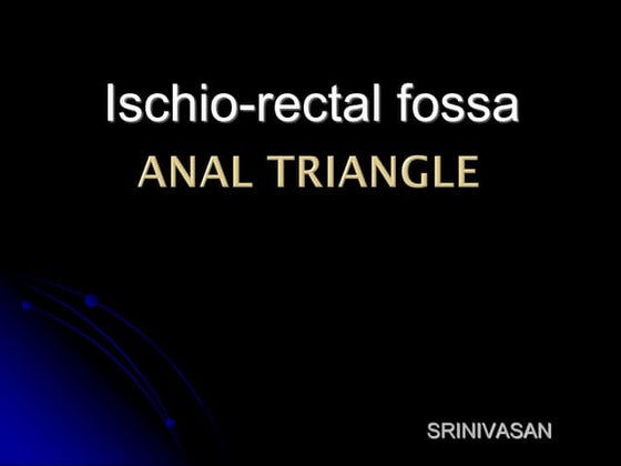 Ischiorectal fossa | PPTX