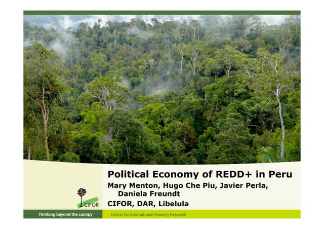 Political economy of REDD+ in Peru - CIFOR-ICRAF Conocimiento: Presentacion