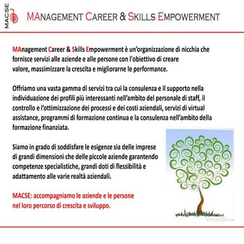 I servizi offerti da MACSE | PPTX