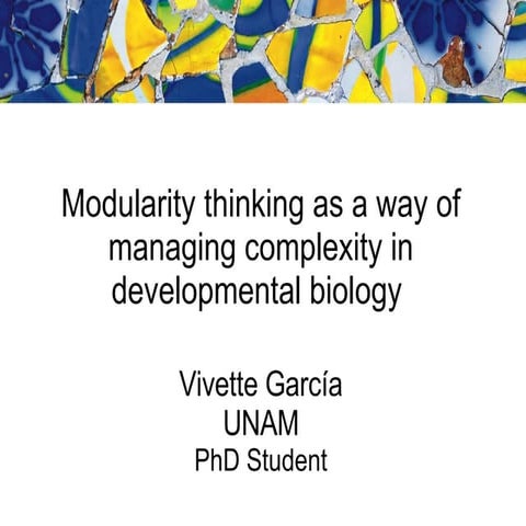 Modularity And Complexity Management Ppt