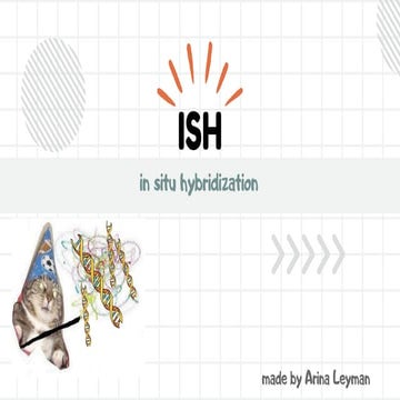 in situ hibridization (FISH / CISH) presentation | PPT