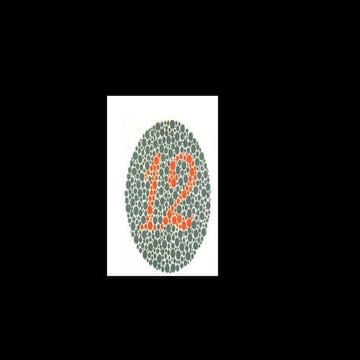 ishiara eye ppt test for the vision ppt.pptx