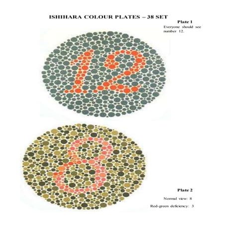 Ishihara.14.plate.instructions | PDF