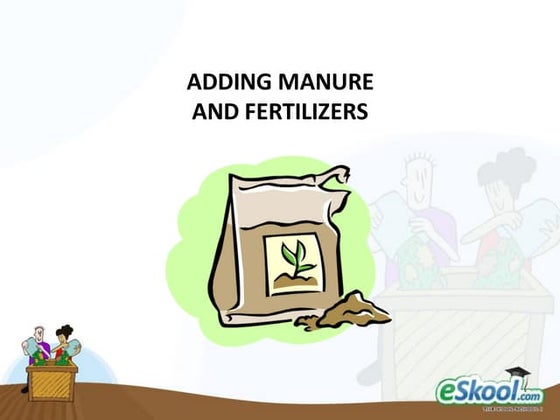 Hydroponics Farming | PPTX