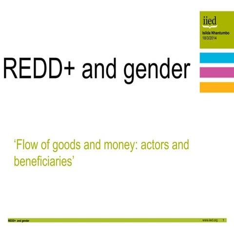 REDD+ and gender - Isilda Nhantumbo (IIED) | PPTX