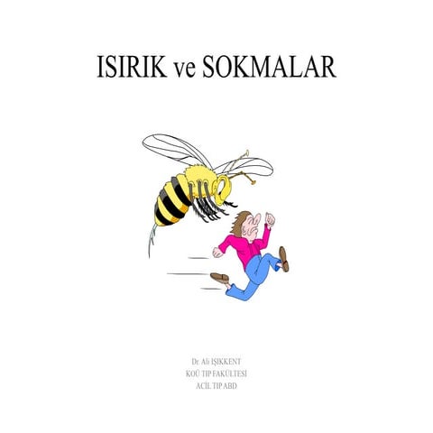 ISIRIK ve SOKMALARDA ACİL YAKLAŞIM VE TEDAVİ | PPTX