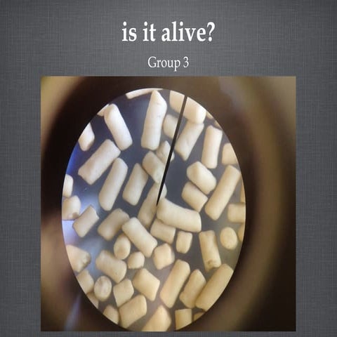 Is it alive lab | PPT