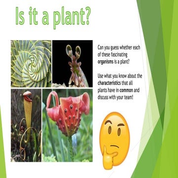 Is it a plant.pptx