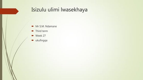 Izinhlobo Zamabizo (Types of Nouns) IsiZulu Ibanga 8 | PDF
