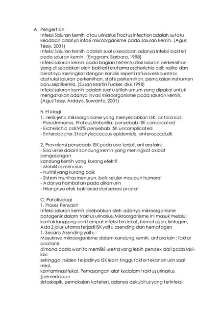 Farmakoterapi Infeksi Saluran Kemih | PPTX