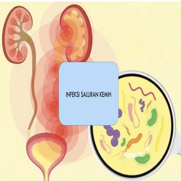 SLide infeksi saluran kemih untuk penyuluhan | PPTX