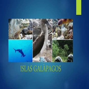 Isla galapagos | PPTX | South America Travel | Travel Locations