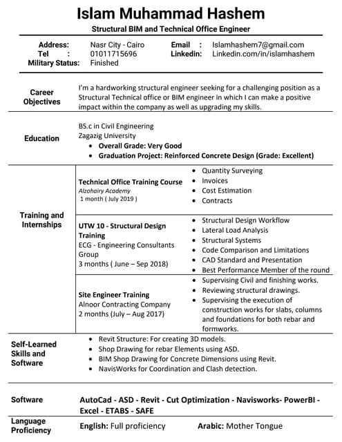 professional planning engineer - Mina Bessada | PDF